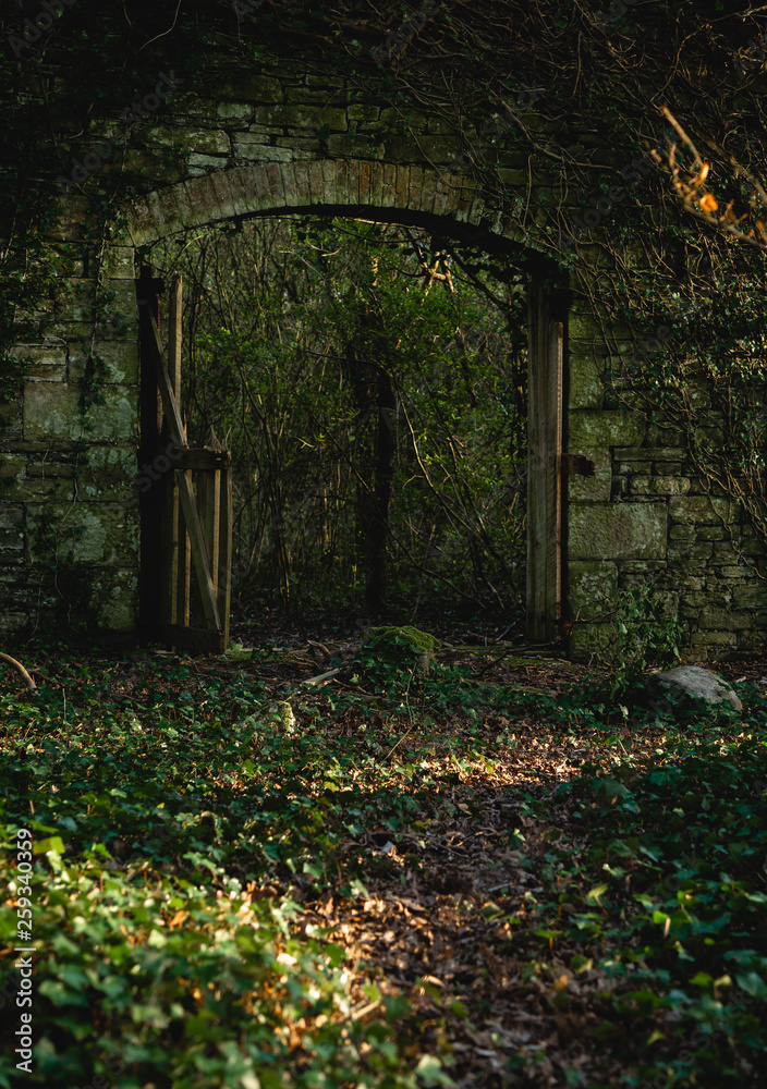 Secret entrance in the forest / Gothic image of an entrance in a castle ...