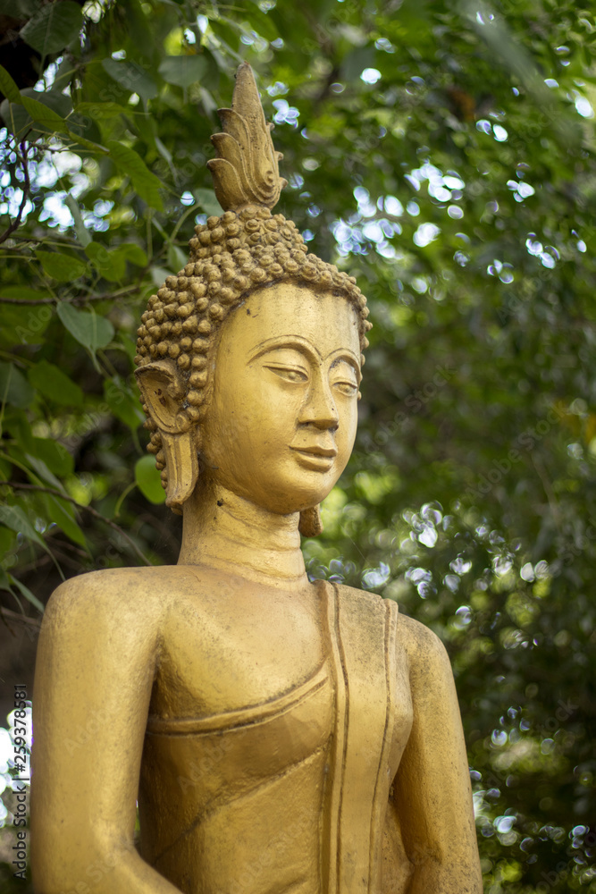 The statue of the Buddha image around the Sri Maha Bodhi in Laos ...