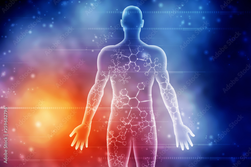 2d illustration Human Male Muscle Body Stock Illustration | Adobe Stock