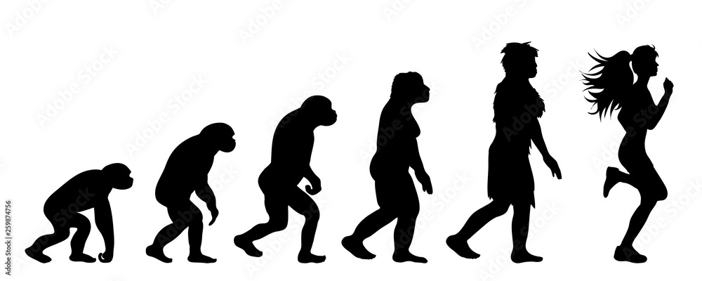 Theory of evolution of woman. Vector silhouette of homo sapiens. Symbol ...