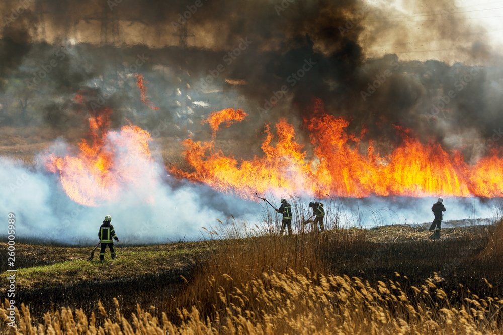 Raging forest spring fires. Burning dry grass, reed along lake. Grass ...