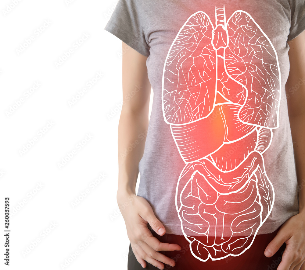highlighted internal organs with some illness Stock Photo | Adobe Stock