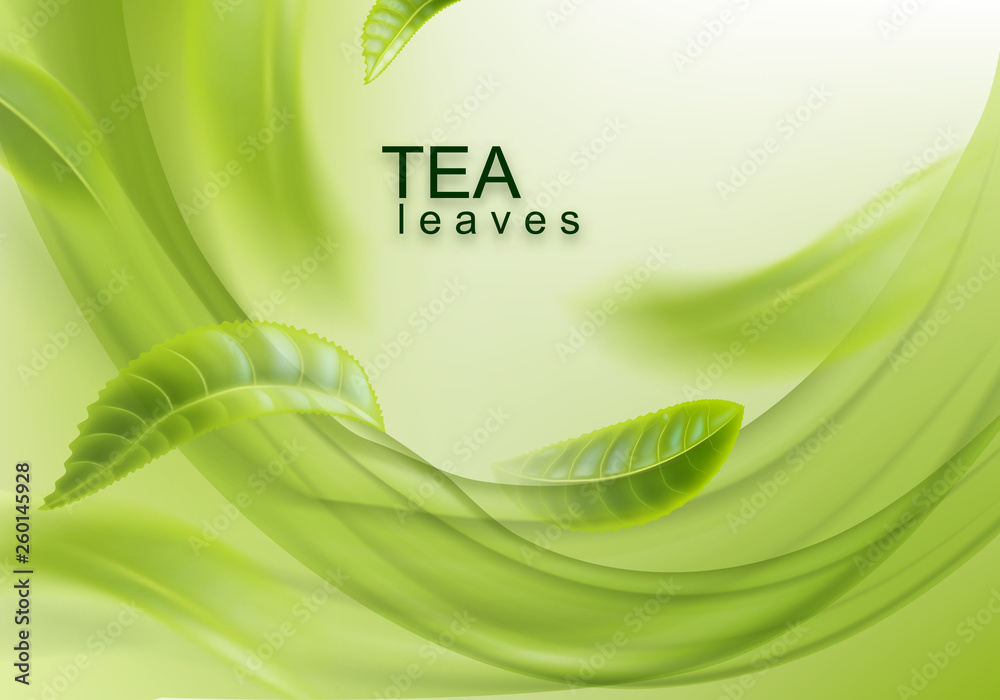 Green tea. Abstract background with tea leaves. Vector illustration for ...