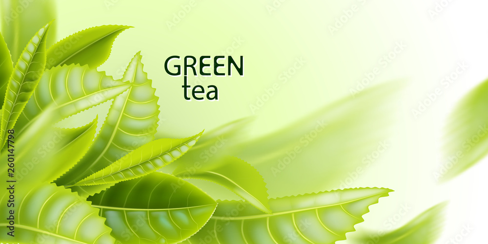 Green tea. Tea leaves background. Element for design advertising packaging of tea products. Vector illustration. Adobe Stock