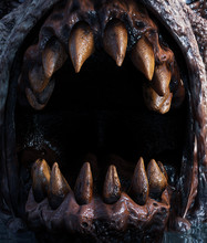 Scary Monsters Teeth Free Stock Photo - Public Domain Pictures
