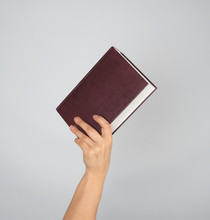 Hand Holding Book Free Stock Photo - Public Domain Pictures