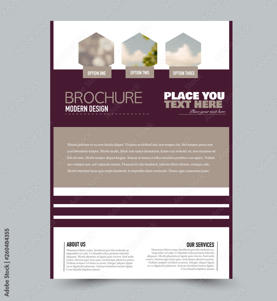 Flyer design template. Brochure layout. School education handout ...