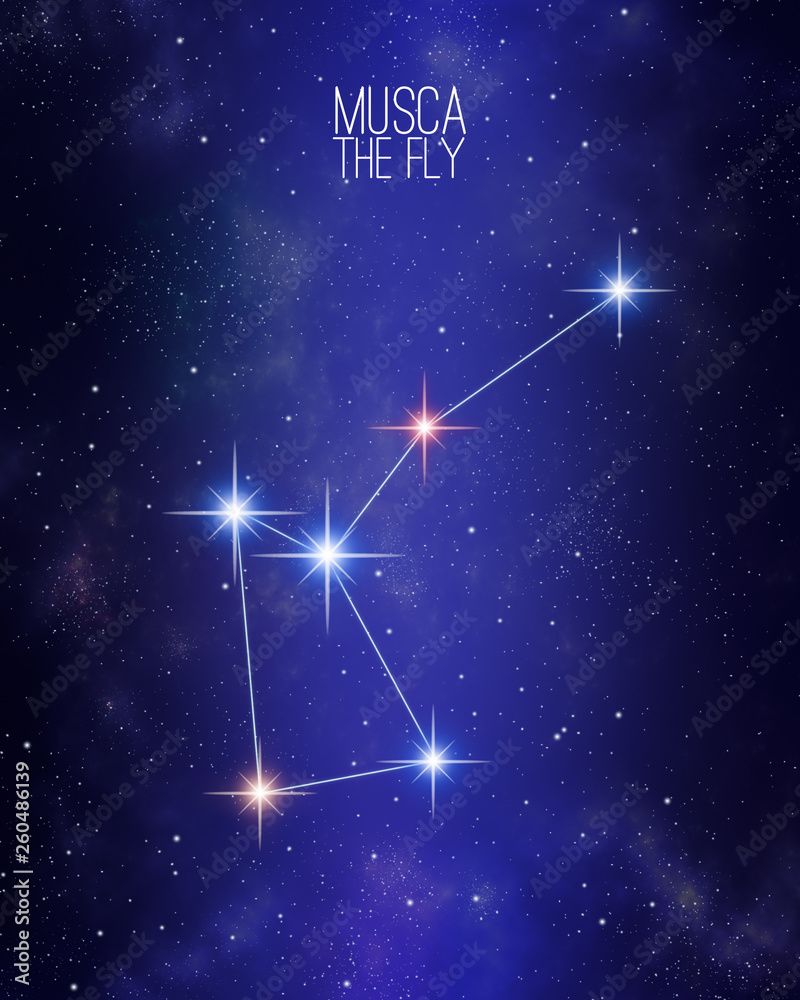 Musca the fly constellation map on a starry space background. Stars ...