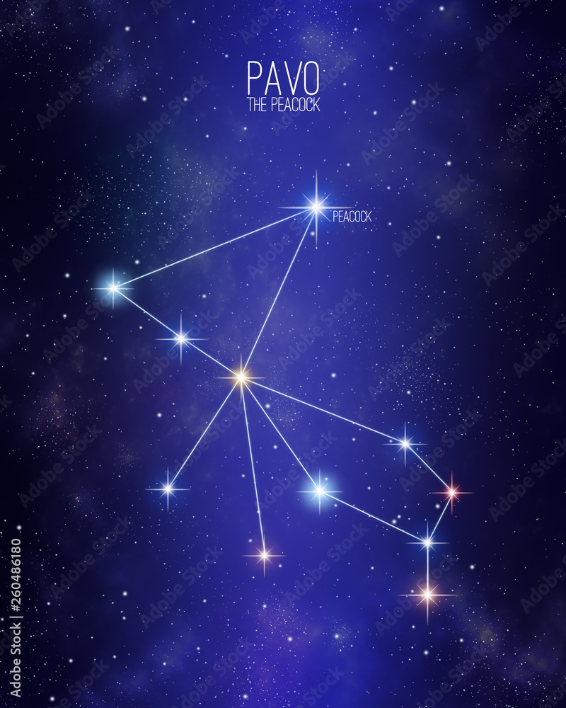 Pavo the peacock constellation map on a starry space background. Stars ...