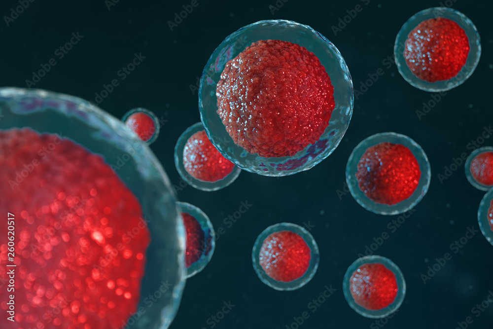 3D illustration egg cells embryo. Embryo cells with red nucleus in ...