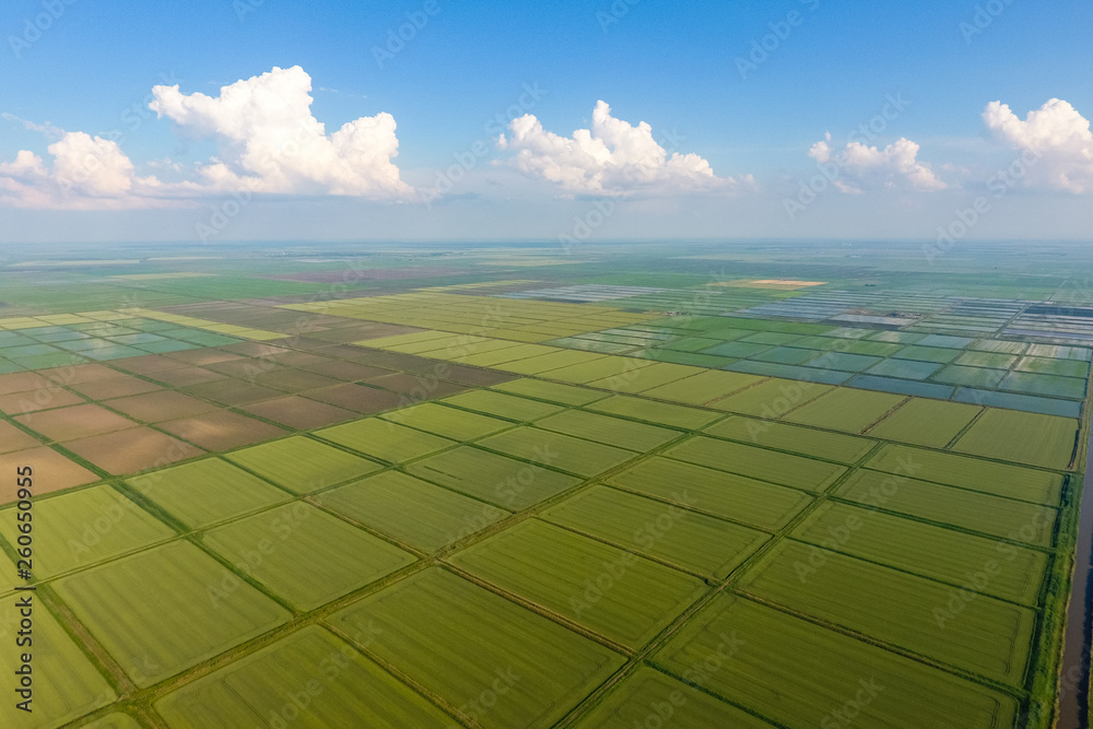 The rice fields are flooded with water. Flooded rice paddies. Agronomic ...