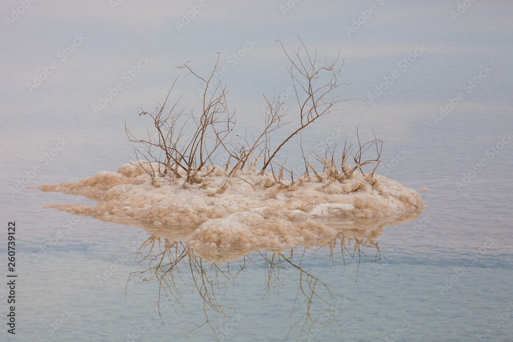 Dead Sea salt stones and crystals on little island at the Dead Sea ...