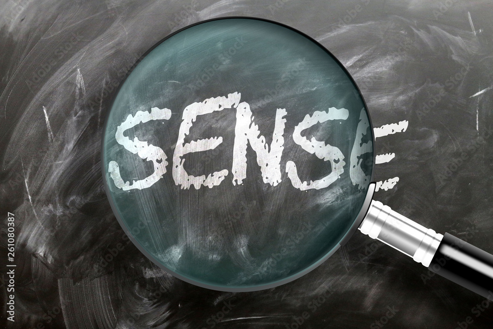 Learn, study and inspect sense - pictured as a magnifying glass ...