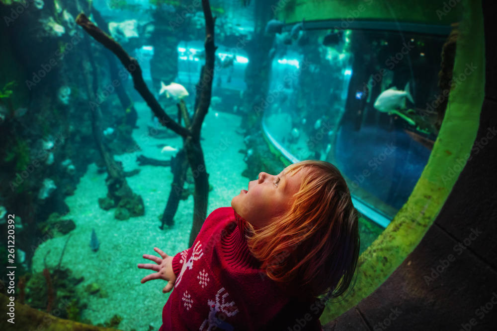 cute little girl watching fishes in a large aquarium Stock Photo ...