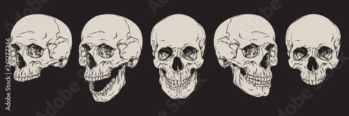 Anatomically correct human skulls set isolated. Hand drawn line art ...