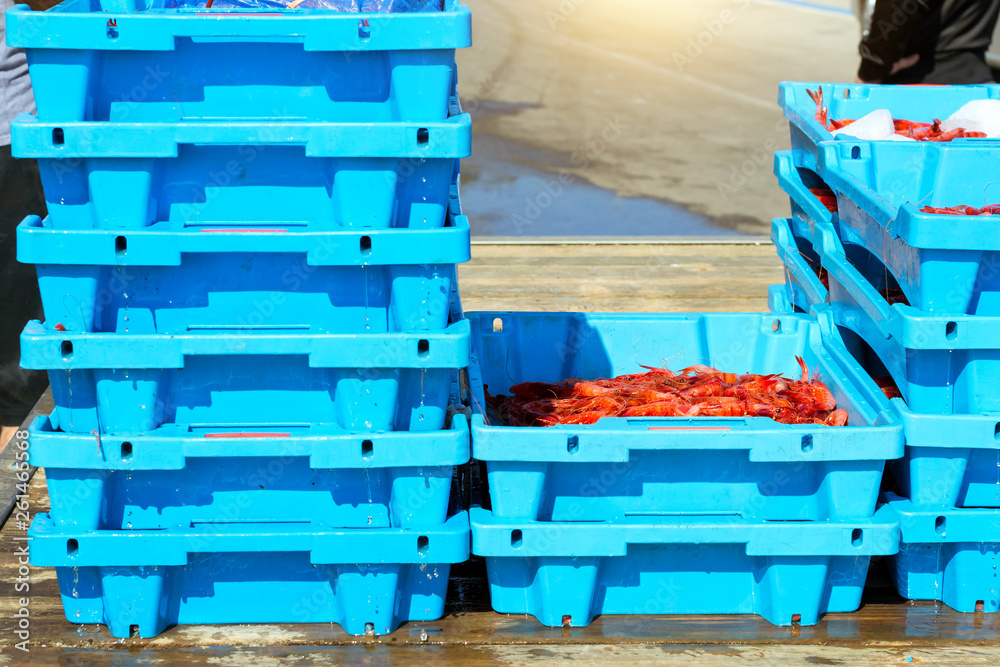 Blue plastic containers with catch of sea Royal shrimps, ocean prawns ...