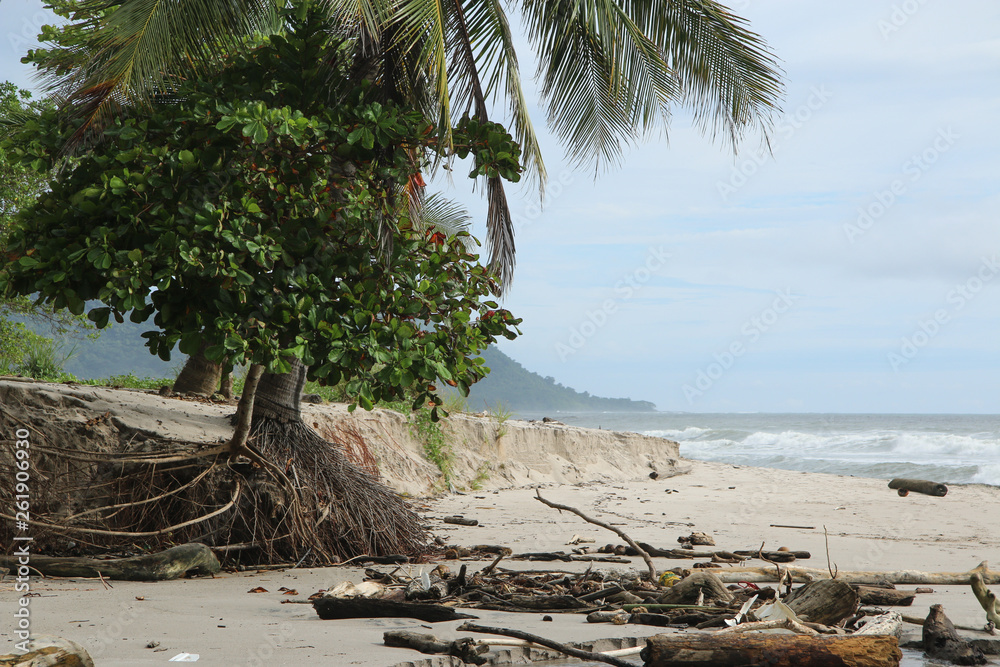 Pollution sur une plage du Costa Rica après de grosse pluies, les ...