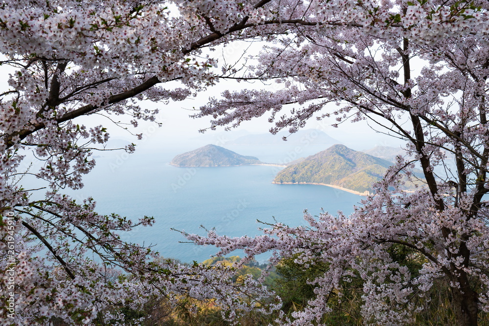 Foto de Stock Cherry blossoms and Islands in the Seto Inland Sea ...
