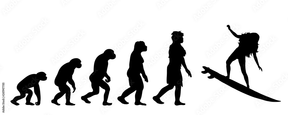 Painted theory of evolution of woman. Vector silhouette of homo sapiens ...