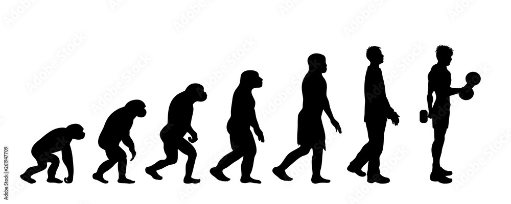 Painted theory of evolution of man. Vector silhouette of homo sapiens ...