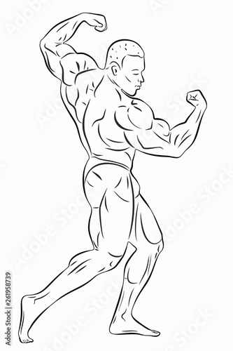 illustration of bodybuilder , vector drawing - Buy this stock vector ...