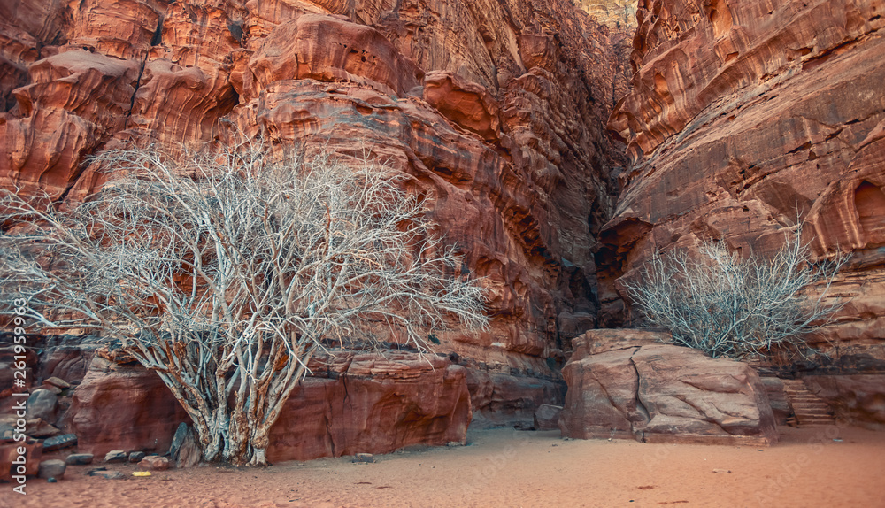 Photo Stock inside the Khazali Canyon in incredible lunar landscape in ...