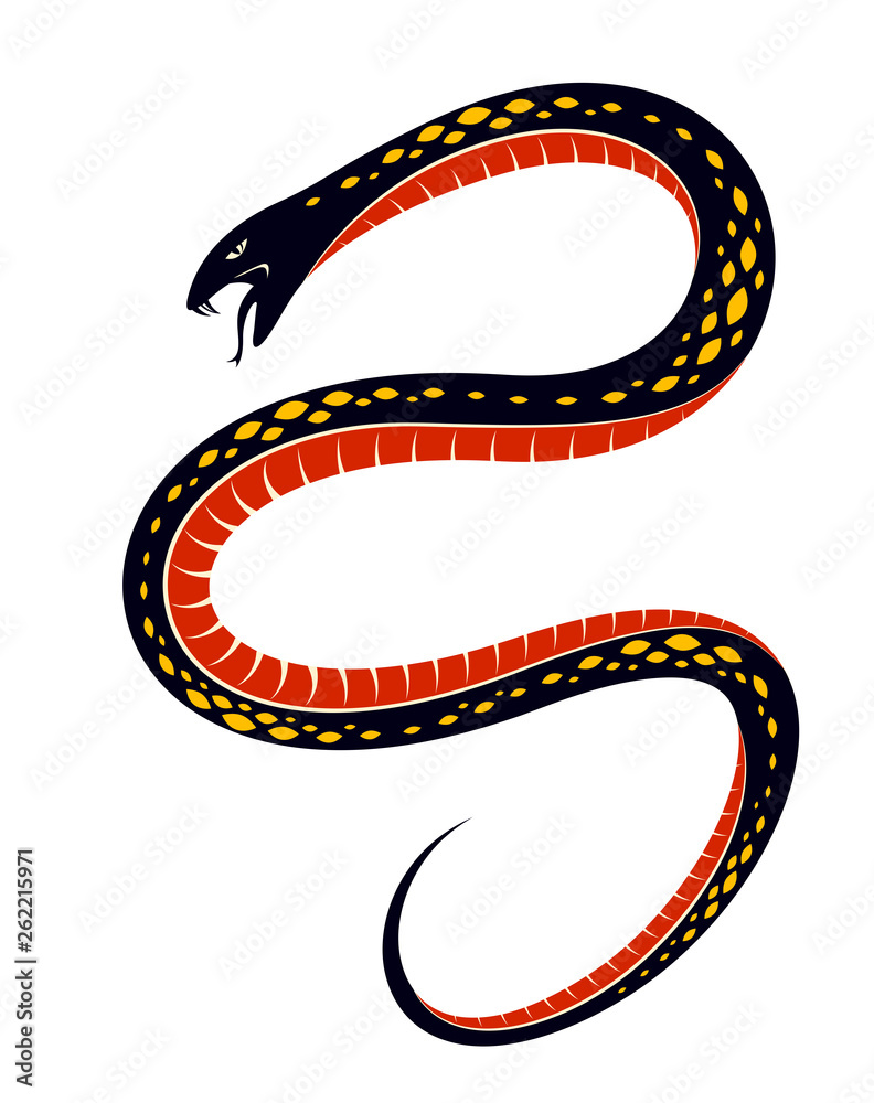 Venomous snake vintage tattoo, vector drawing of aggressive predator ...