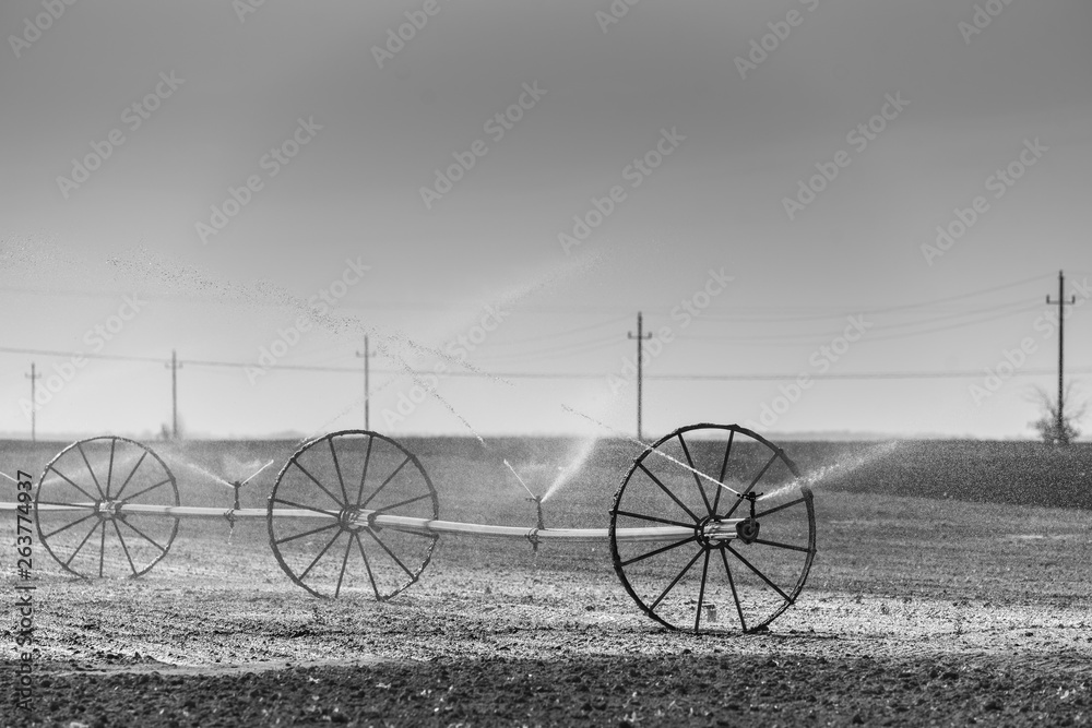 large wheels with sprinklers for irrigation in the field Stock Photo ...