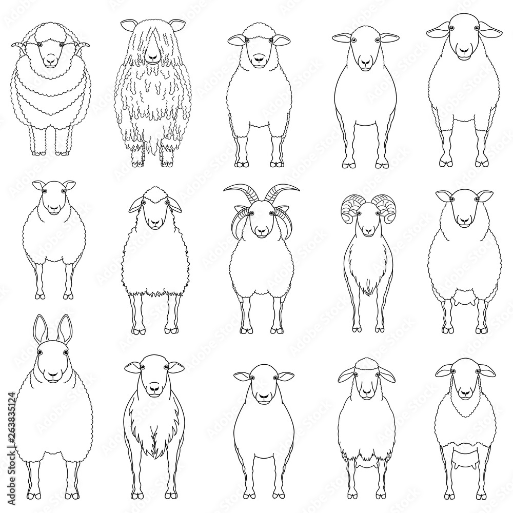 sheep line art set Stock Vector | Adobe Stock