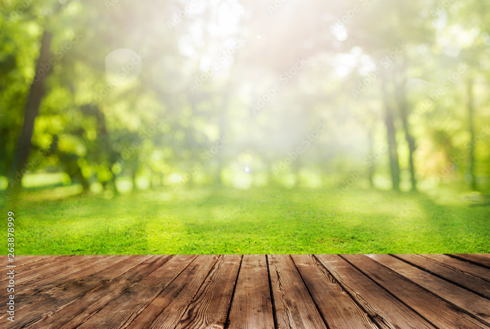 Wooden table and spring forest background Stock Photo | Adobe Stock