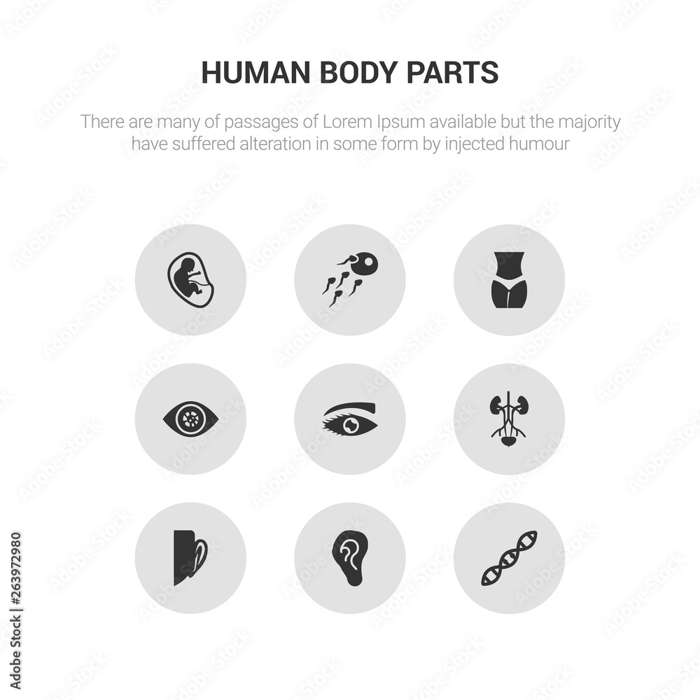 9 round vector icons such as dna, ear lobe side view, ear, excretory ...