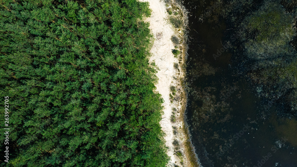 Lake border with woodland, top down aerial Stock Photo | Adobe Stock