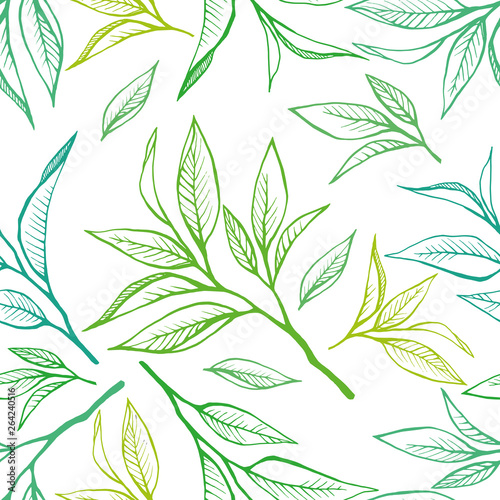 Floral seamless pattern with tea leaves in sketch style. Hand drawn tea ...