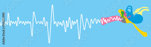Human ear anatomy with sound wave, medically accurate 3D illustration ...
