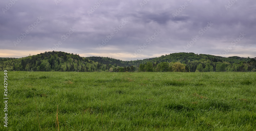 "The Mounds" two mountains in the distance with lush green spring ...