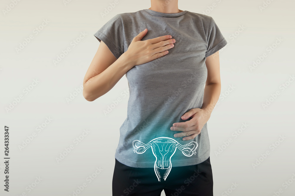 human female reproductive system on woman body Stock Photo | Adobe Stock