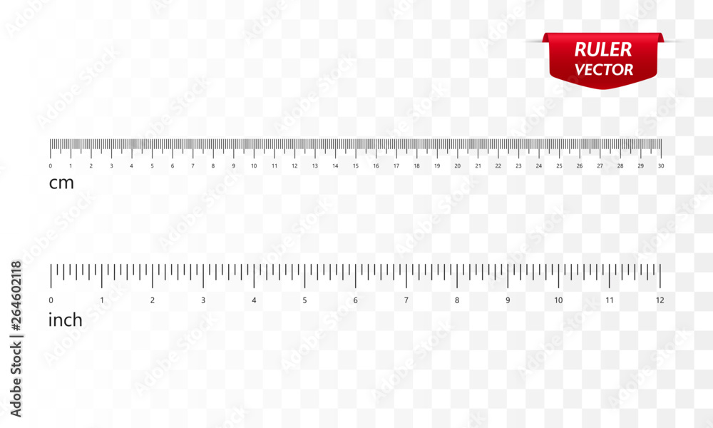 Rulers set, inches and centimeters. Vector Stock Vector | Adobe Stock