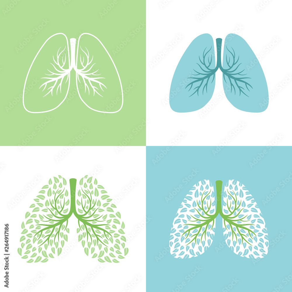 Lunges. lung and bronchus vector illustration, healthy lungs tree with ...