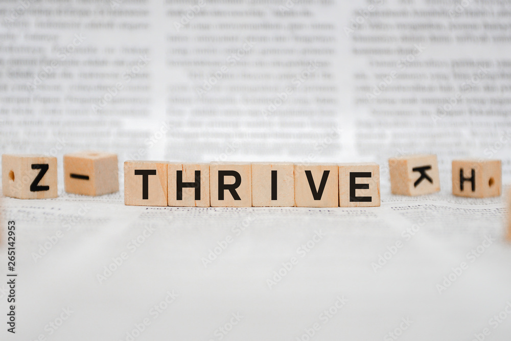 Thrive Word Written In Wooden Cube Stock Photo | Adobe Stock