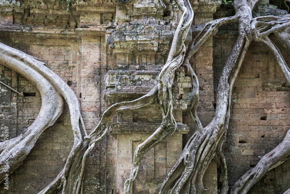 Prasat Chrey (Structure N18) engulfed by the roots of a fig tree in ...