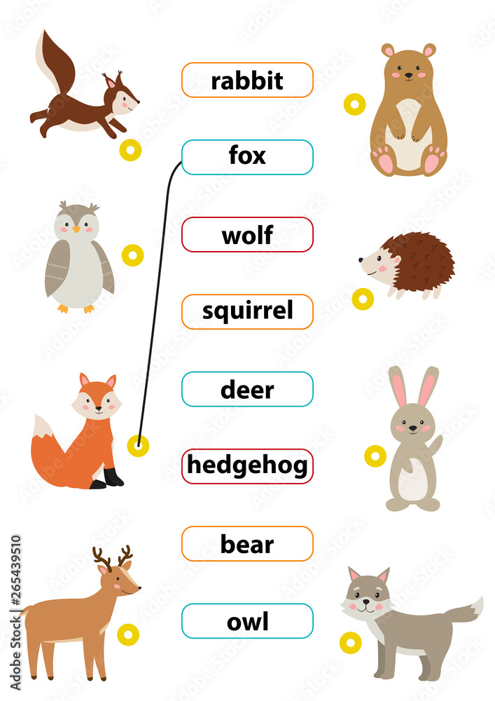 Cute cartoon vector forest animals. Match words with the correct ...