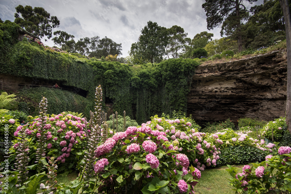 Umpherston Sinkhole tourist attraction in Mount Gambia, South Australia ...