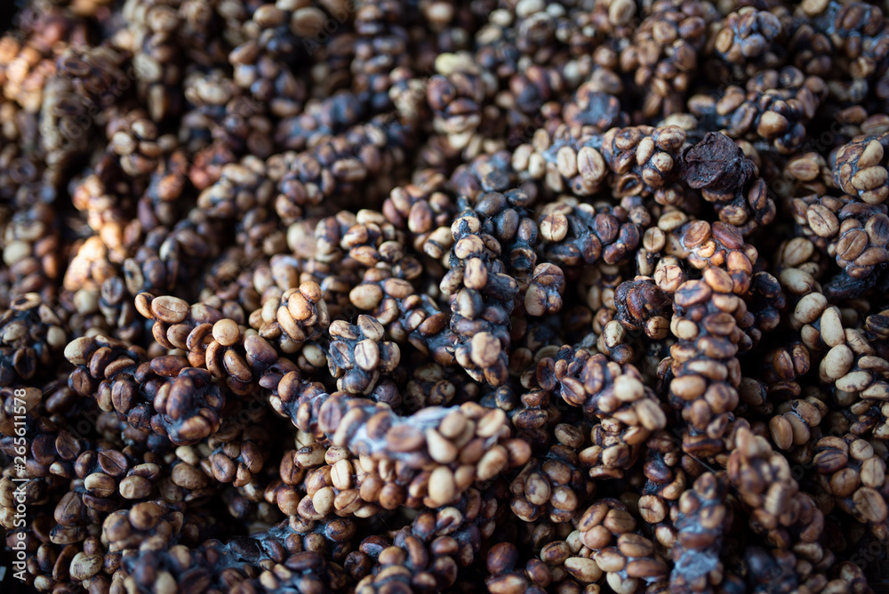Foto de Stock Kopi luwak or civet coffee, is one of the world's most ...