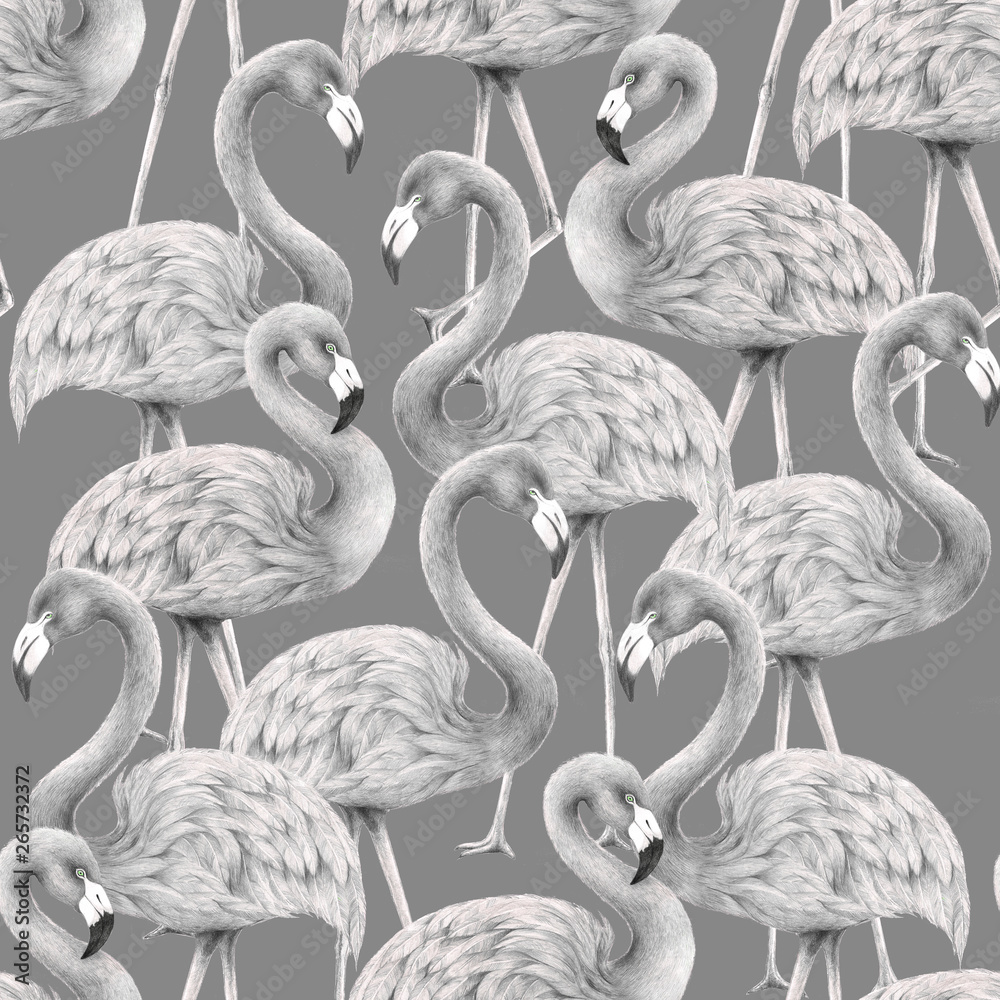 flamingo seamless pattern,colored pencil drawing techniques ...