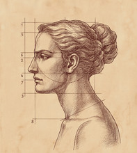 Female Proportions Free Stock Photo - Public Domain Pictures