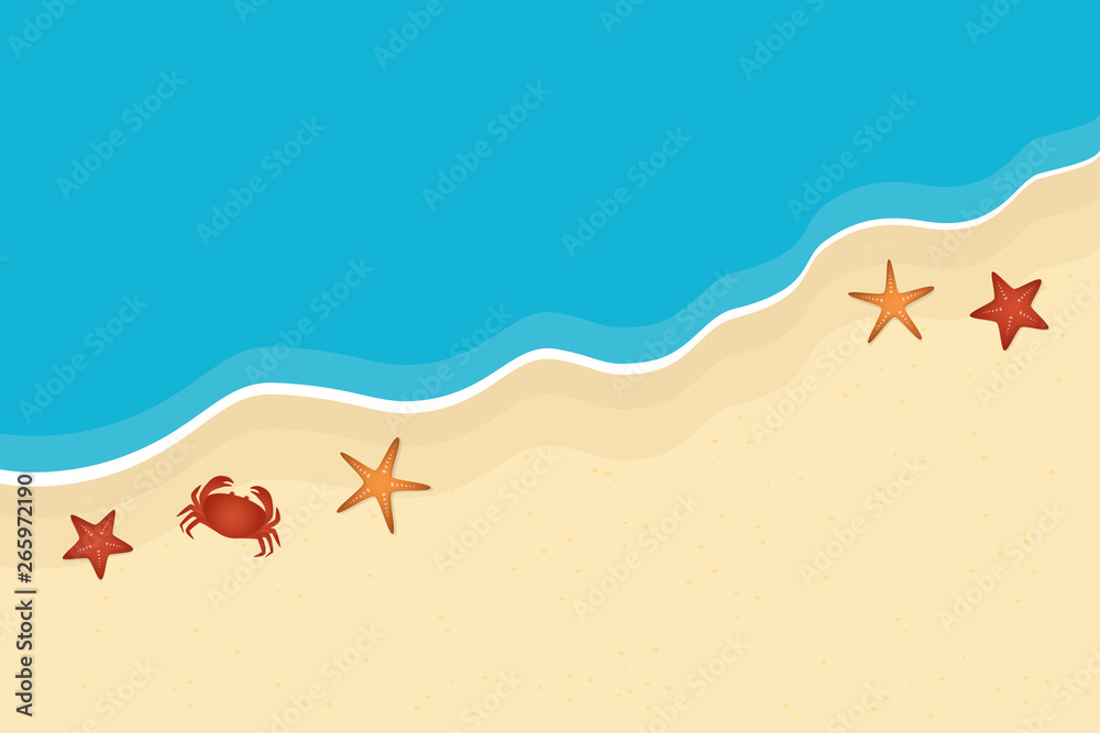 beach and ocean background summer holiday with starfish and crab vector ...