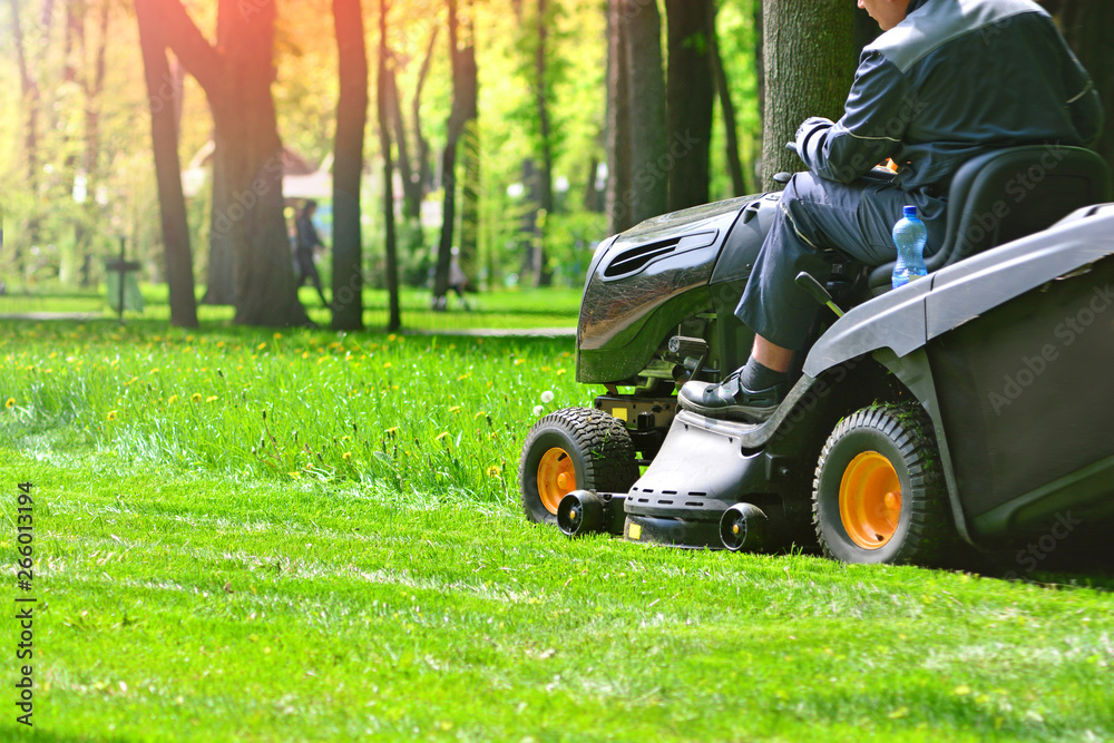 Professional lawn mower wirh worker cut the grass Stock Photo | Adobe Stock