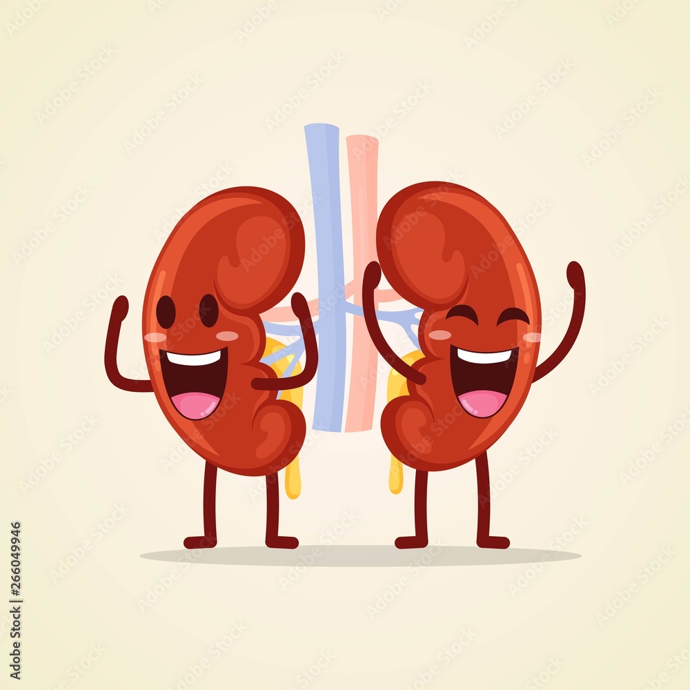 Cute character kidneys smiling cartoon human internal organ Stock ...