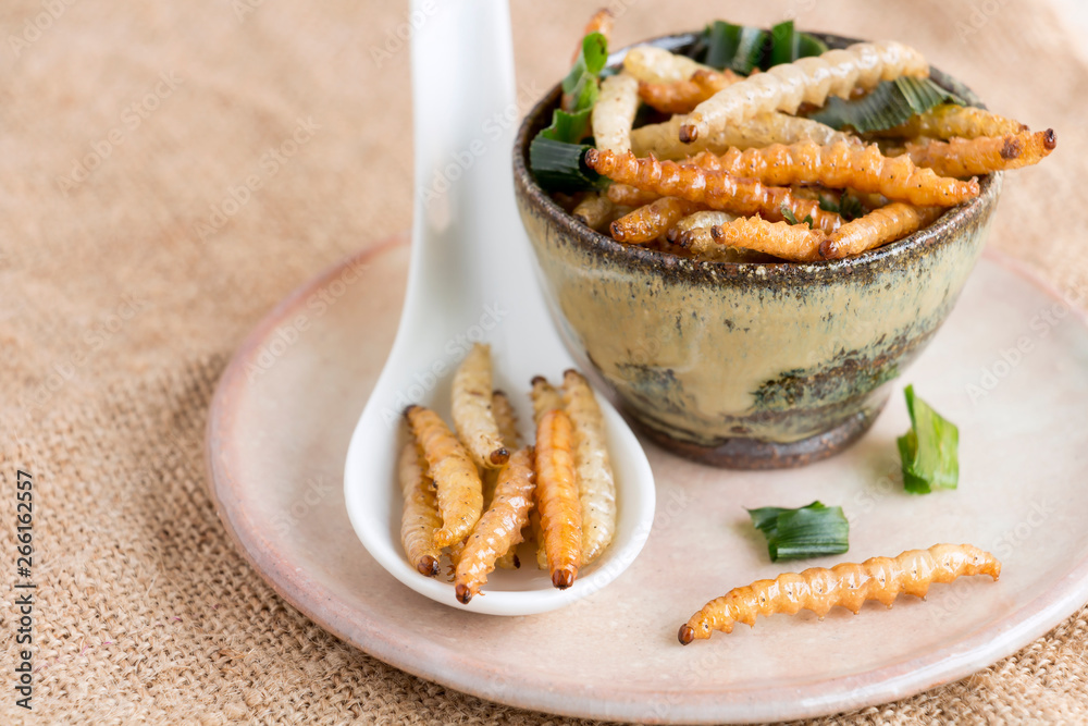 Food Insects: Bamboo worm (Bamboo Caterpillar) insect fried crispy for ...