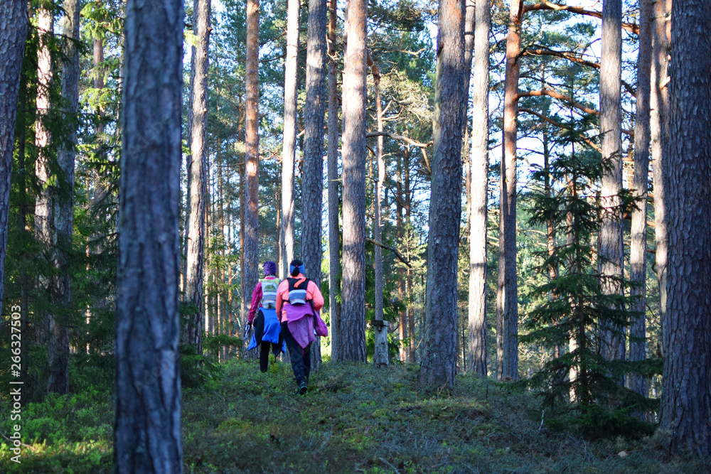 Two women participants of orienteering or rogaining sport contest ...